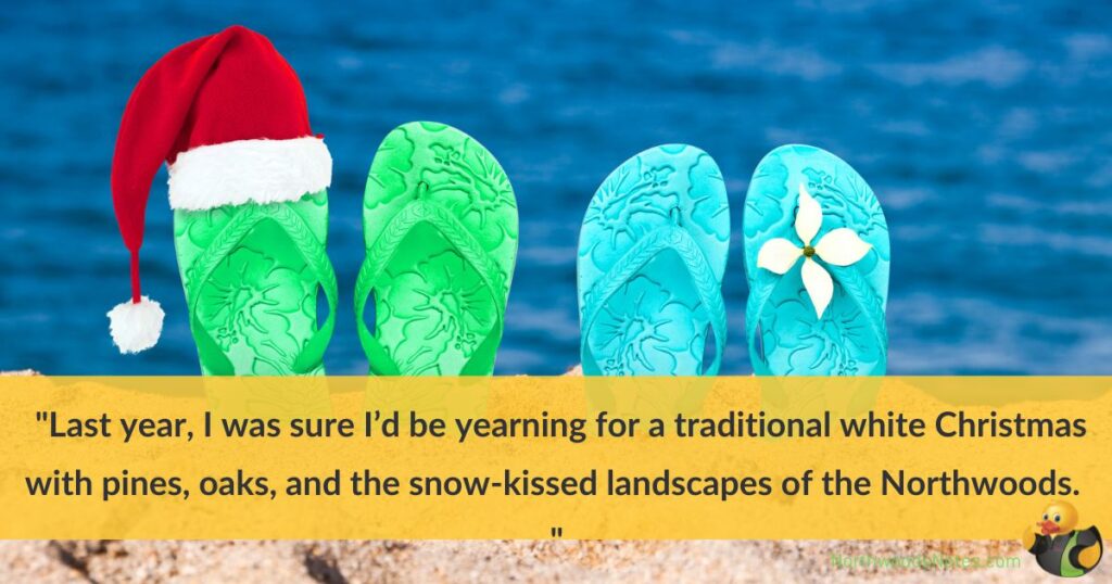 Our Flip-Flop Christmas - Frasier's Plumbing, Heating, & Cooling